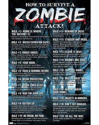How to Survive A Zombie Attack Poster! – Horror Society
