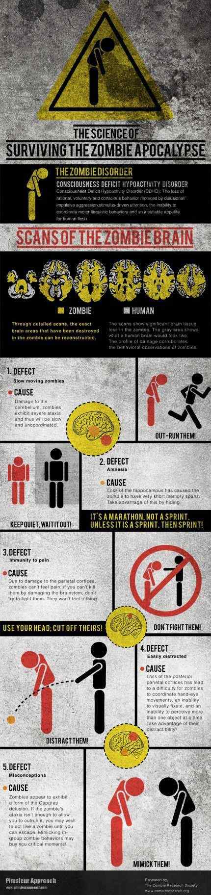 Horror InfoGraphs - Horror Society