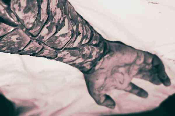 Seed to Son – a new horror film in the making – Horror Society