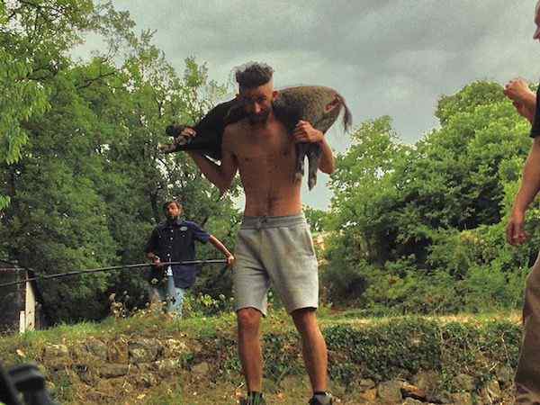 Gimp with boar - Horror Society