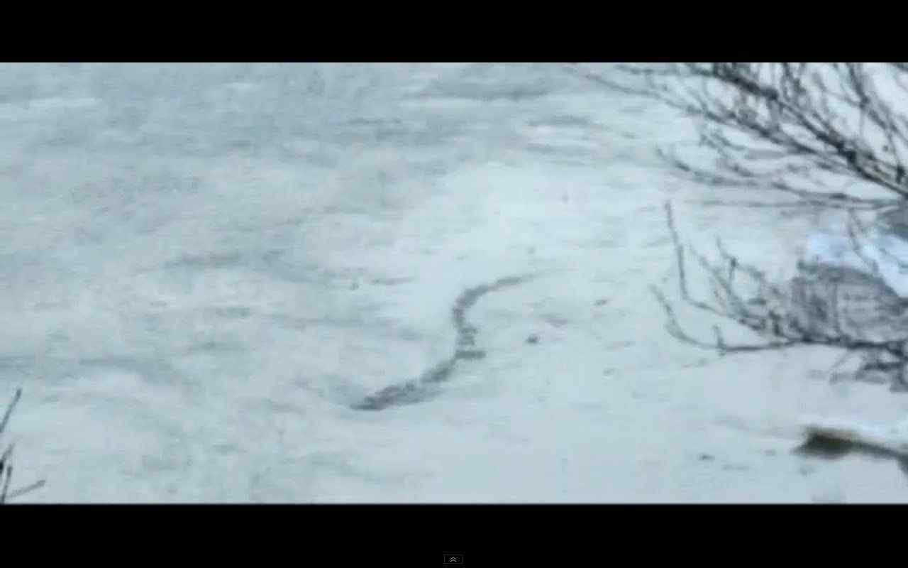 Icelandic Goverment Announces Existence of Lake Monster. - Horror Society