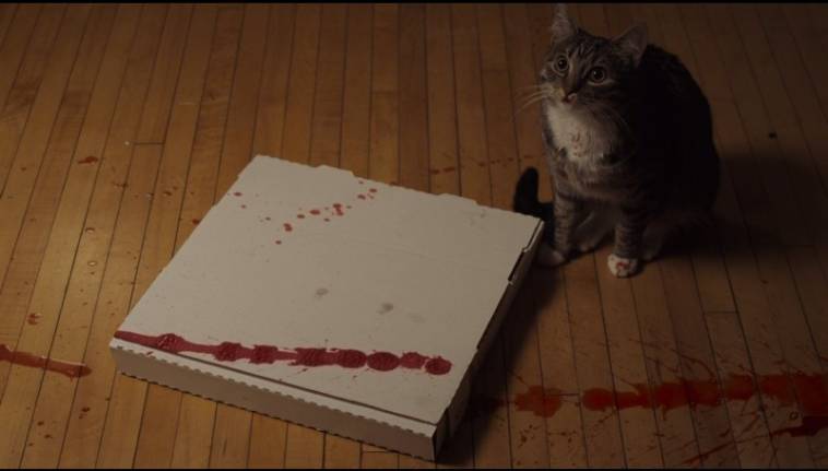 Meow (Short Review) – Horror Society