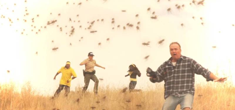 Review: Milko Davis’ Tsunambee – Horror Society