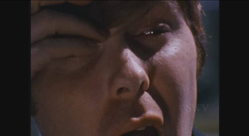 Blu Review – He Came from the Swamp: The William Grefe Collection ...