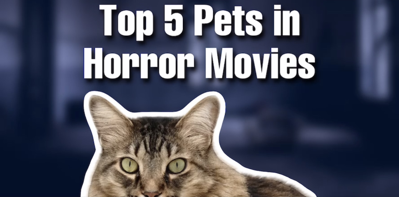 Top 5 Pets in Horror Movies – Horror Society