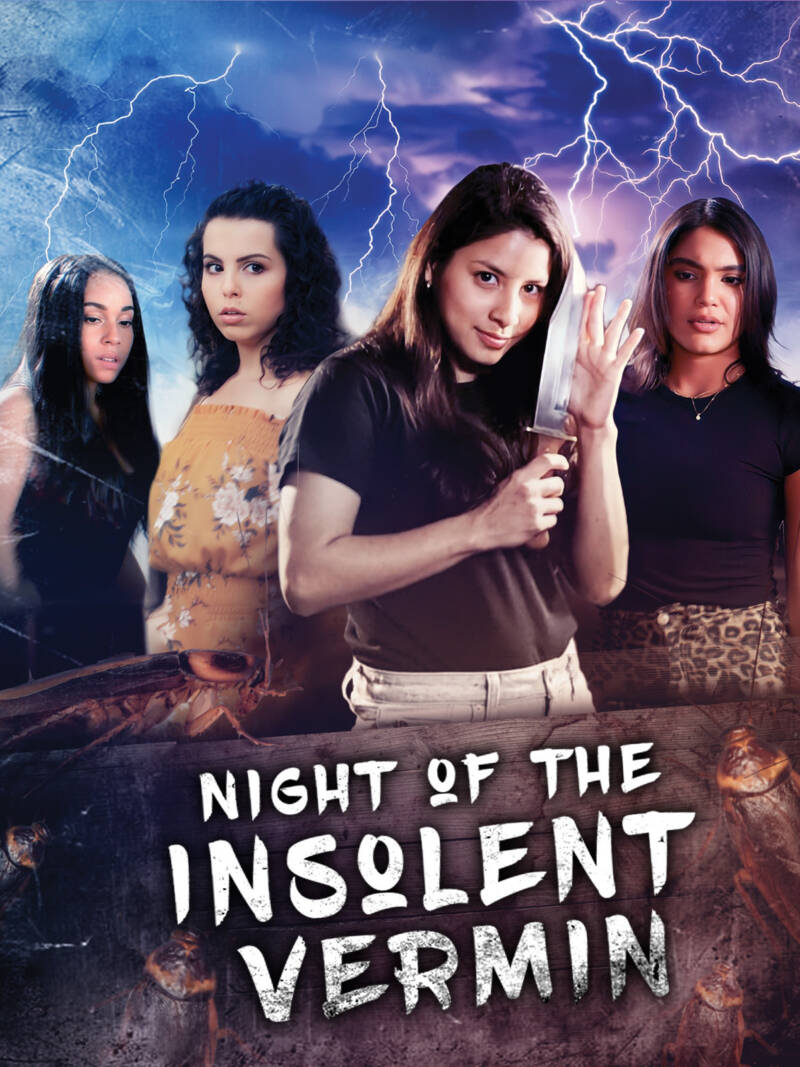 VIPCO & BayView Entertainment releasing horror comedy NIGHT OF THE ...