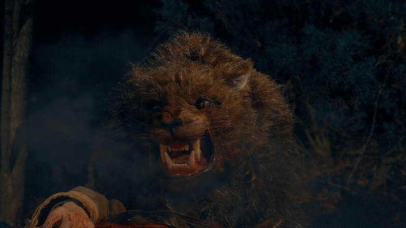 Cryptids Now on Blu-ray from Scream Team Releasing – Horror Society