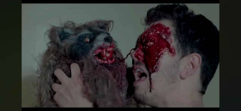 Crackcoon (Review) – Horror Society