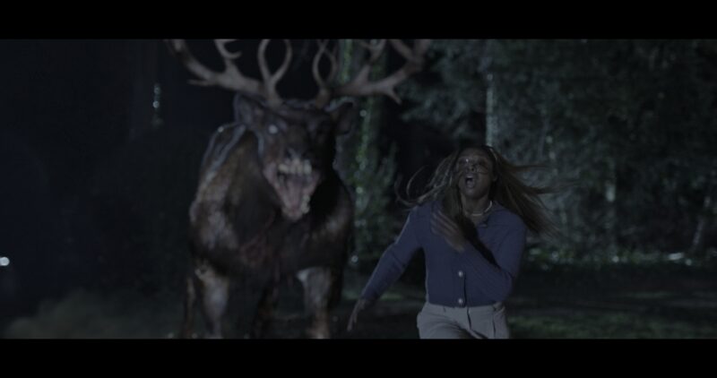 Bambi: The Reckoning is Now Available on Amazon – Horror Society